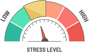 Take The Stress Test - First Aid For Stress